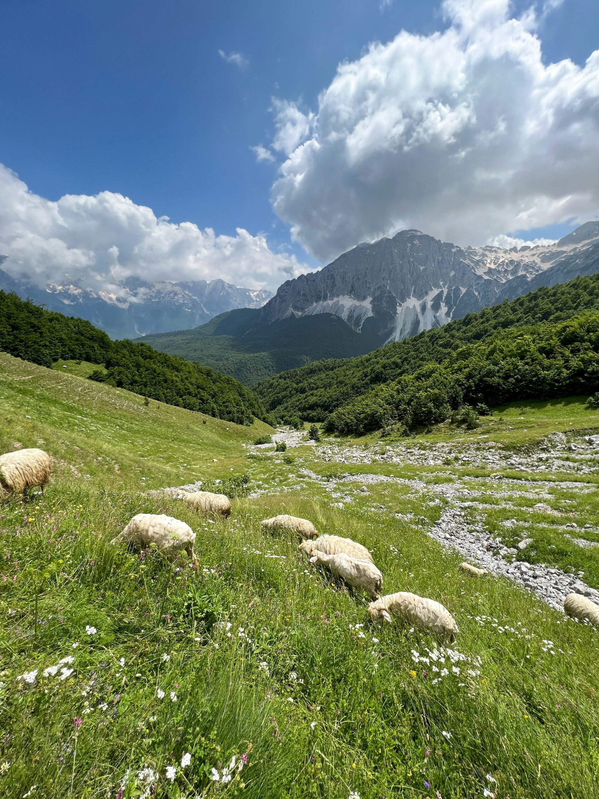 Hiking in Albania: The Ultimate Guide to the Accursed Mountains ...
